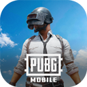 PUBG MOBILE Esports License